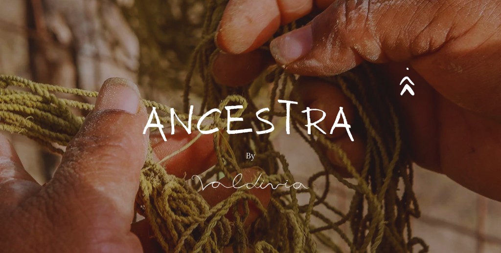Descubrí la nueva cápsula Ancestra de Valdivia