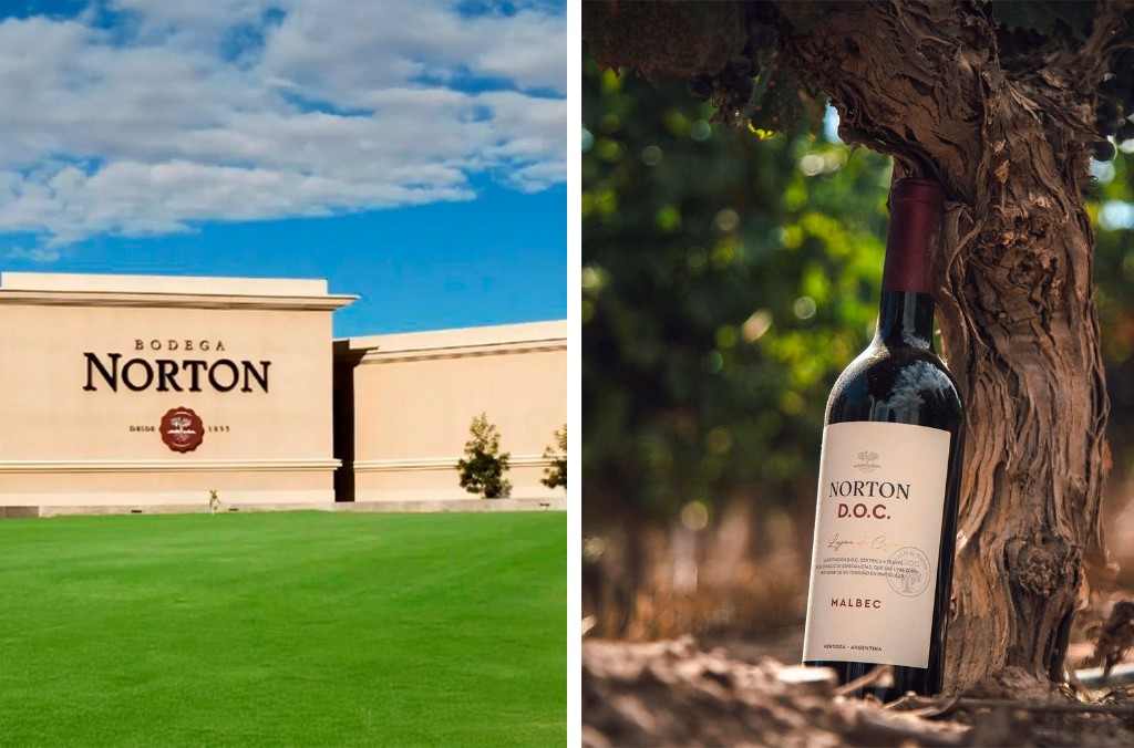 Bodega Norton: história, vinhos e quais rótulos valem a pena